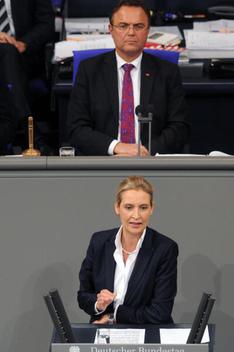 Deutscher Bundestag - Bilddatenbank - Weidel, Alice; Friedrich, Hans ...
